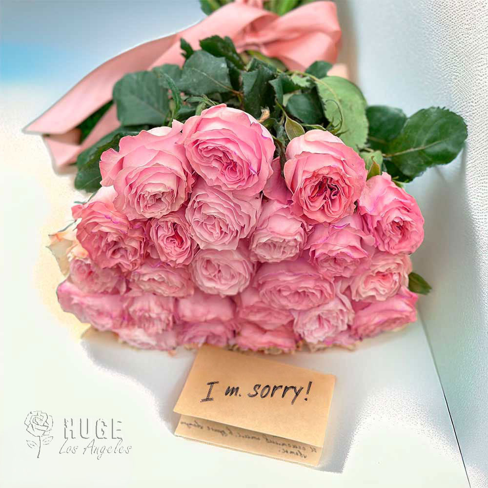 Order Apology Flowers with Delivery, price